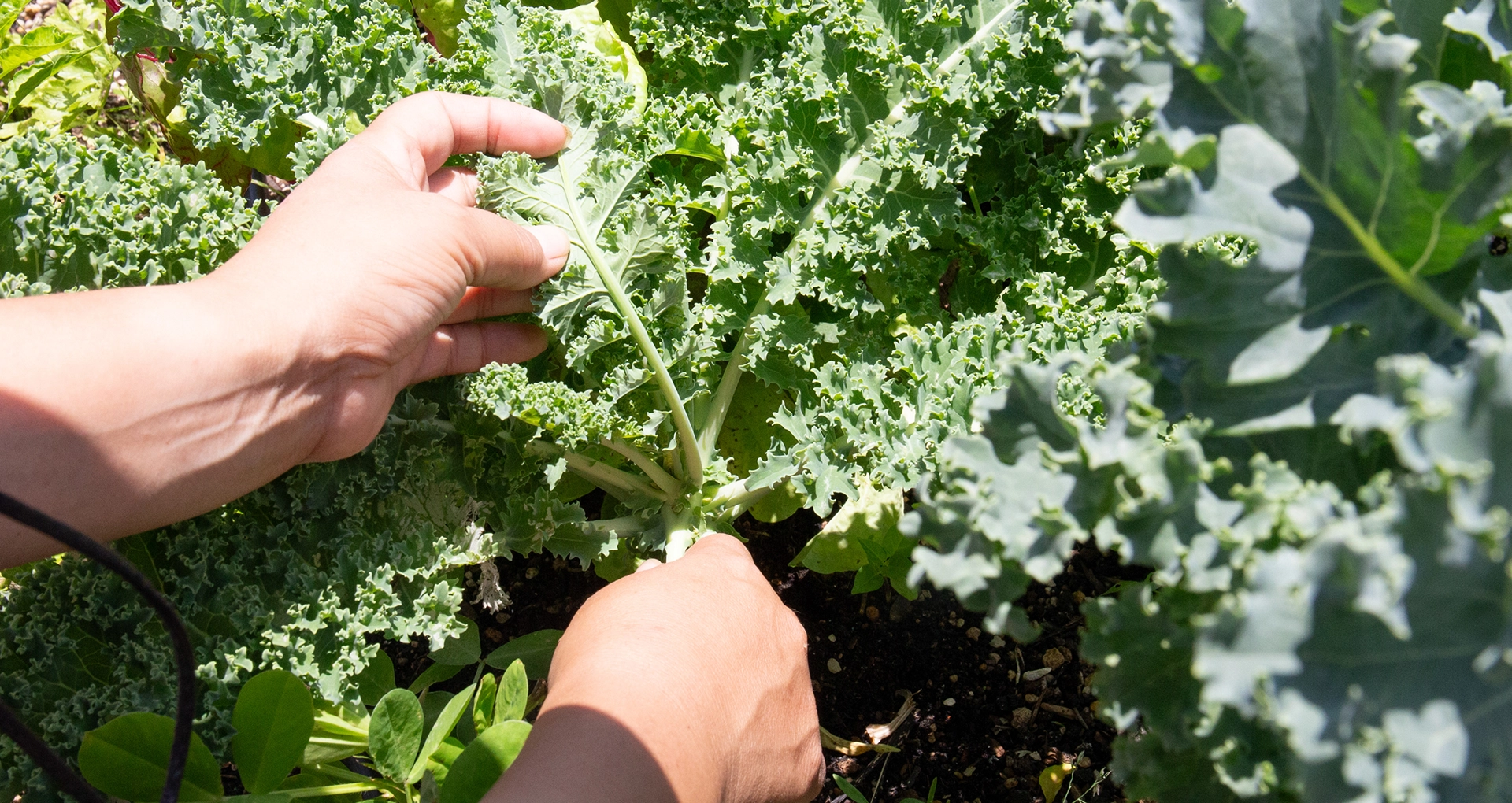 YOEN | 人と自然のあいだに